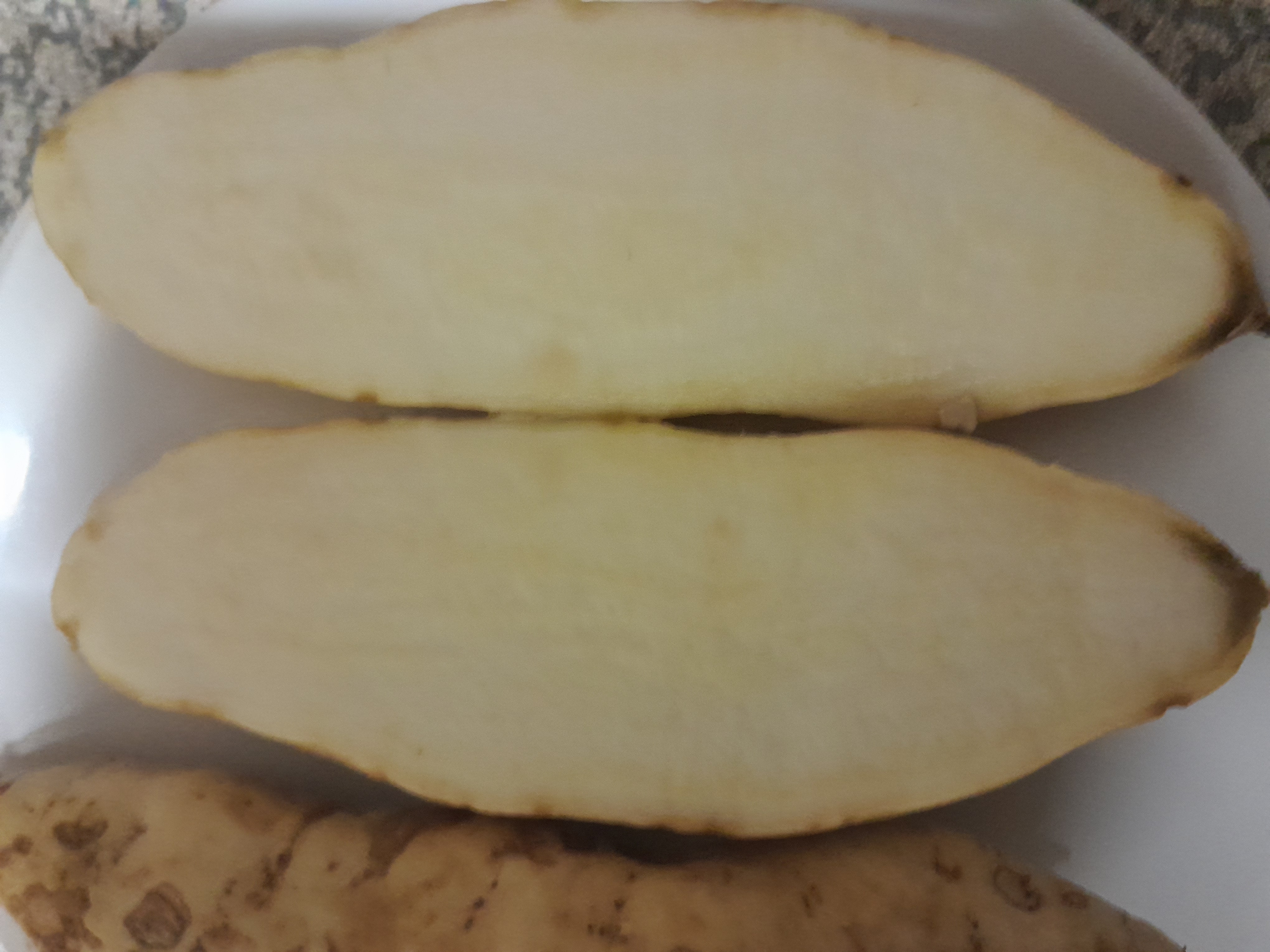 White sweet potatoes runners · Heirloom Bean Seeds Company