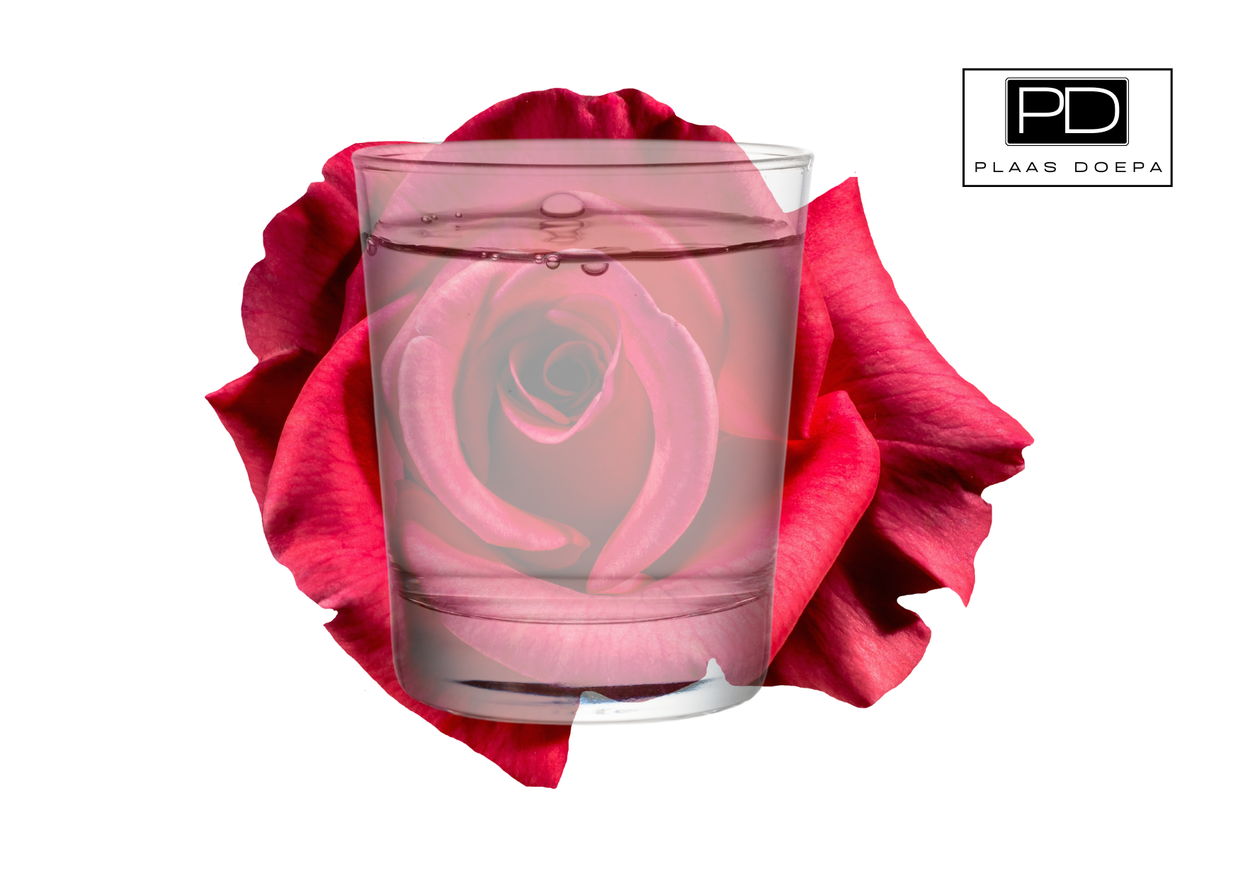 Rose Water · Plaas Doepa