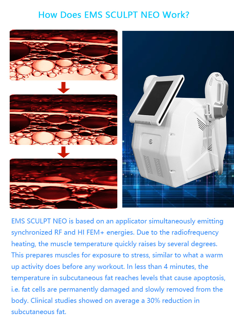 EMS Sculptor Electro Magnetic Body Slimming Machine. Muscle · Renee ...