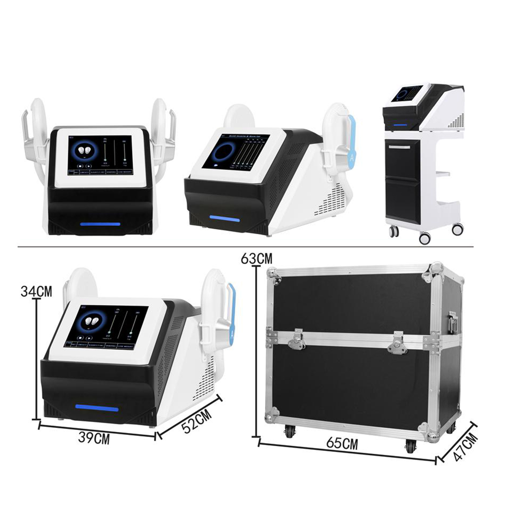 EMS Slim Fat Removal Body slimming Machine for weight loss E · Renee ...