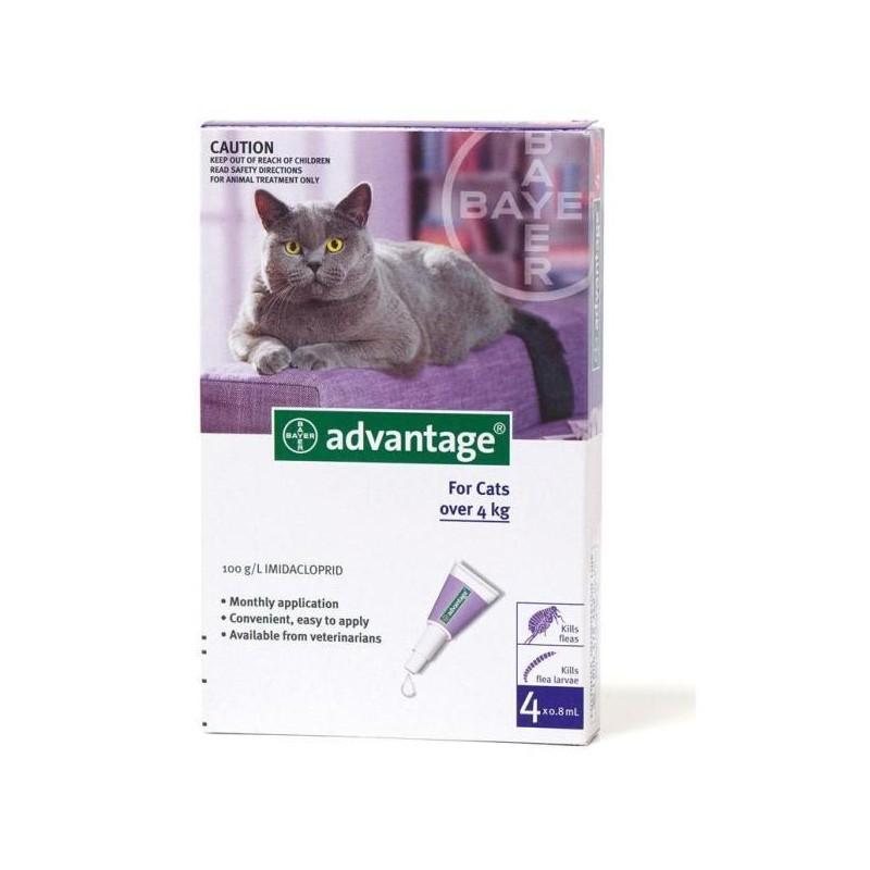 Advantage Cat & Rabbit Flea Treatment · Top Dog Suppliers