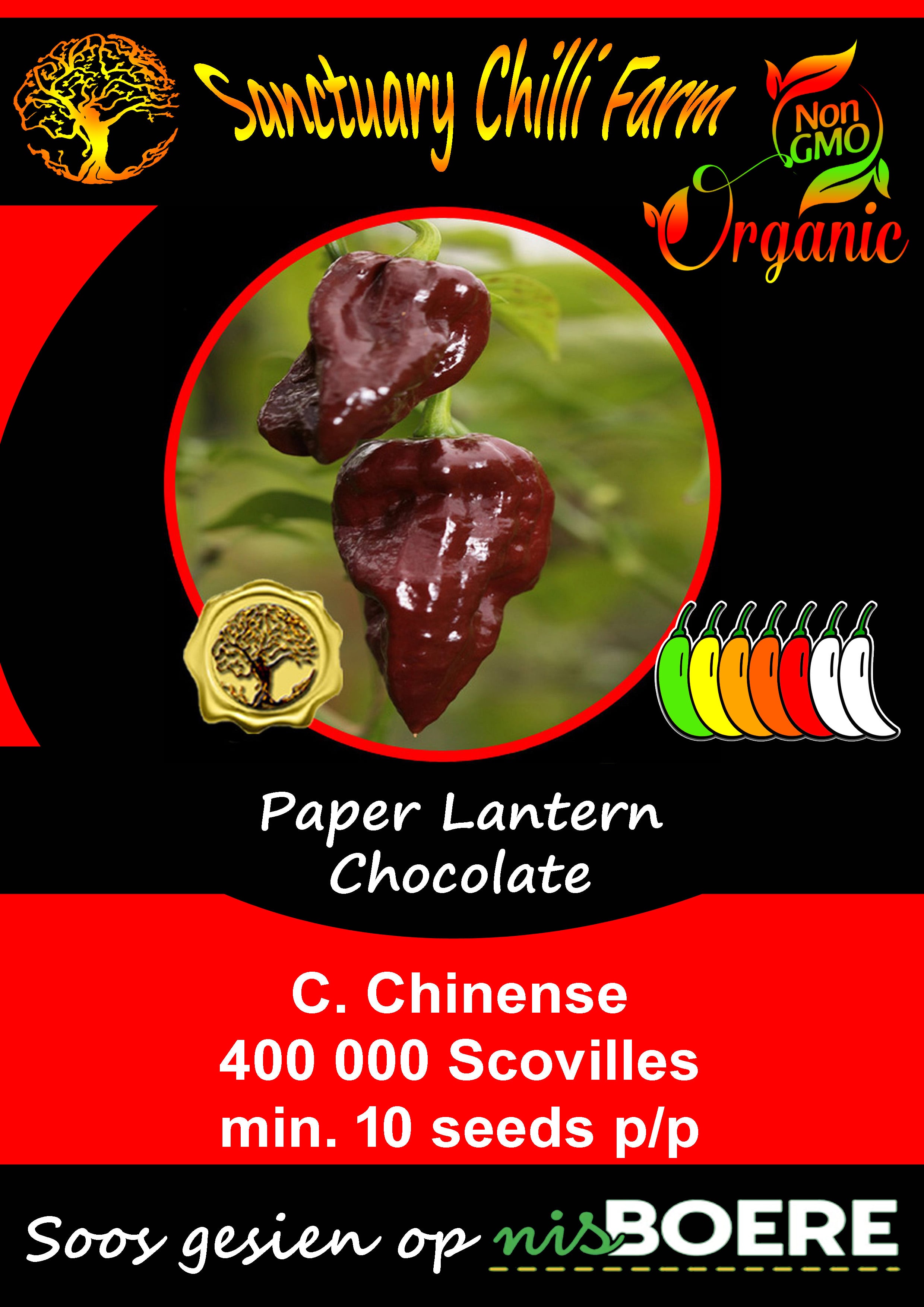Paper Lantern - Chocolate · Sanctuary Farm Produce
