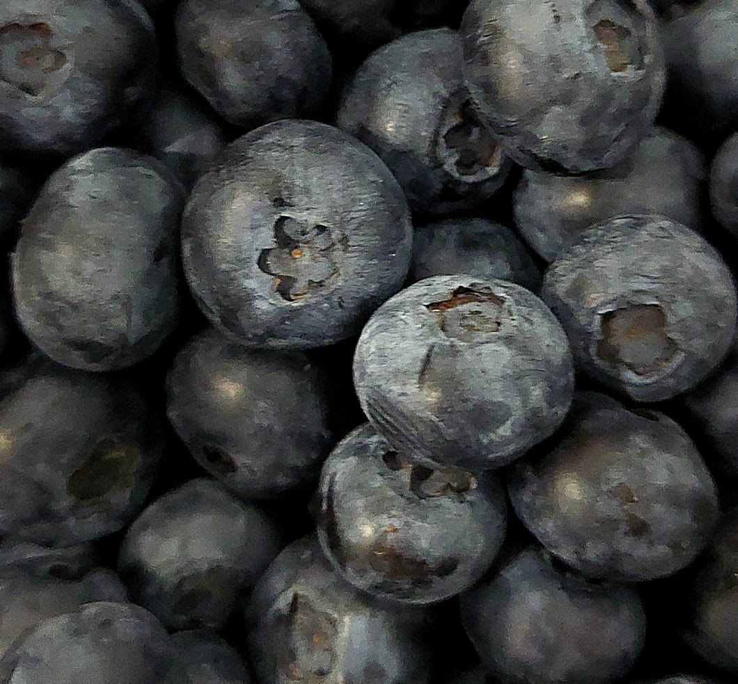 Blueberries Fresh - ORGANIC · B and H Treasures Pty Ltd t/a Farm Connect