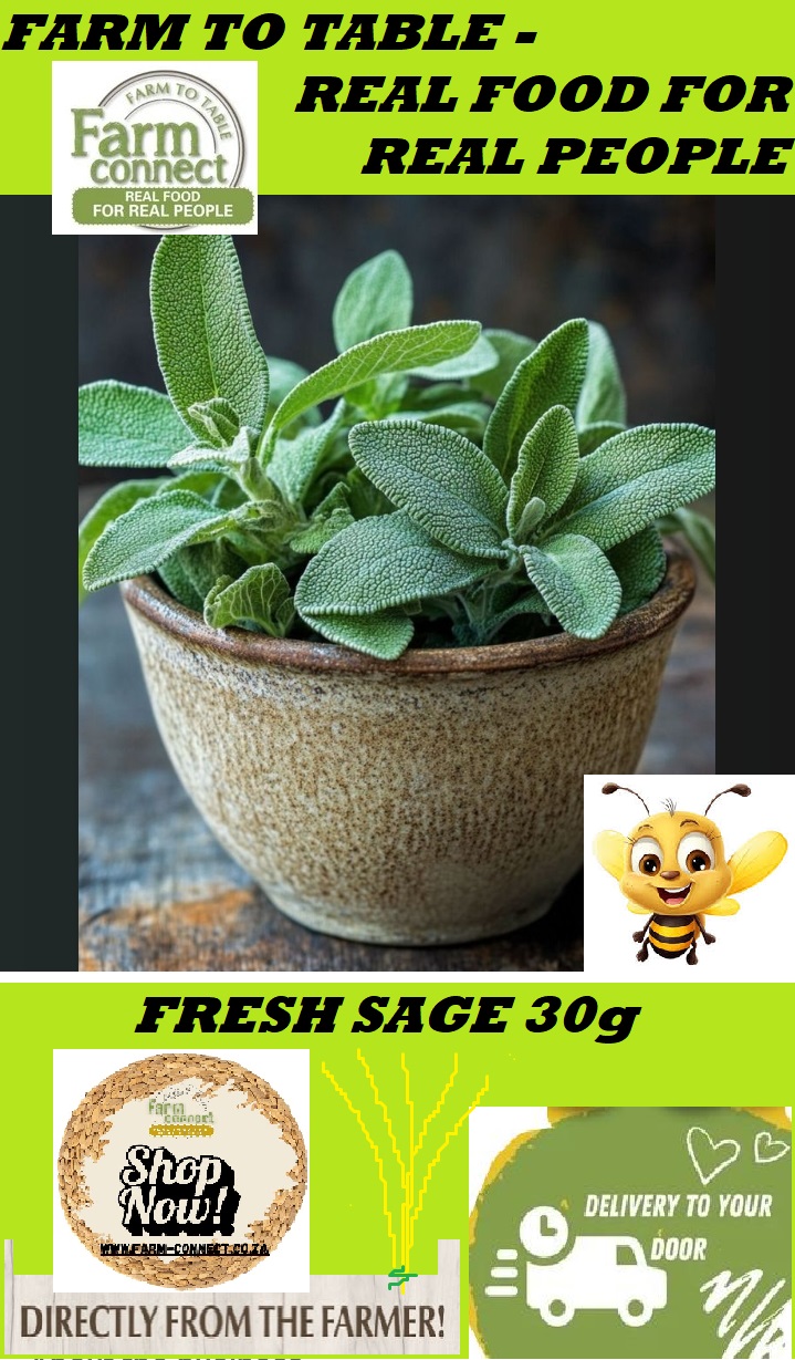 FRESH SAGE 30g - ORGANIC · B and H Treasures Pty Ltd t/a Farm Connect
