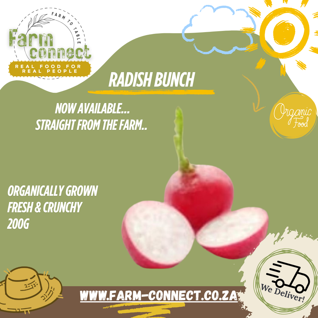 Radish Bunch-200g - ORGANIC · B and H Treasures Pty Ltd t/a Farm Connect